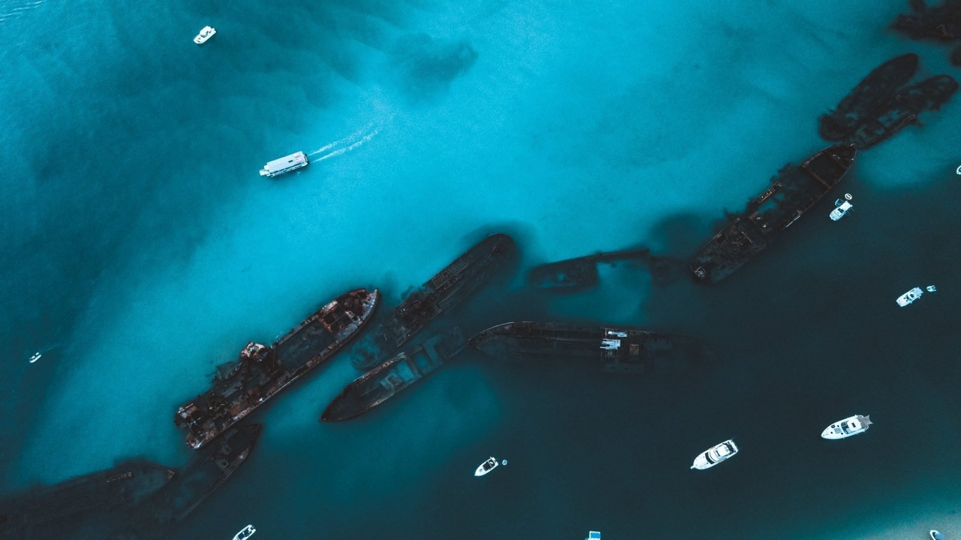 Visiting the Tangalooma Wrecks on Moreton Island, Queensland – We Seek ...