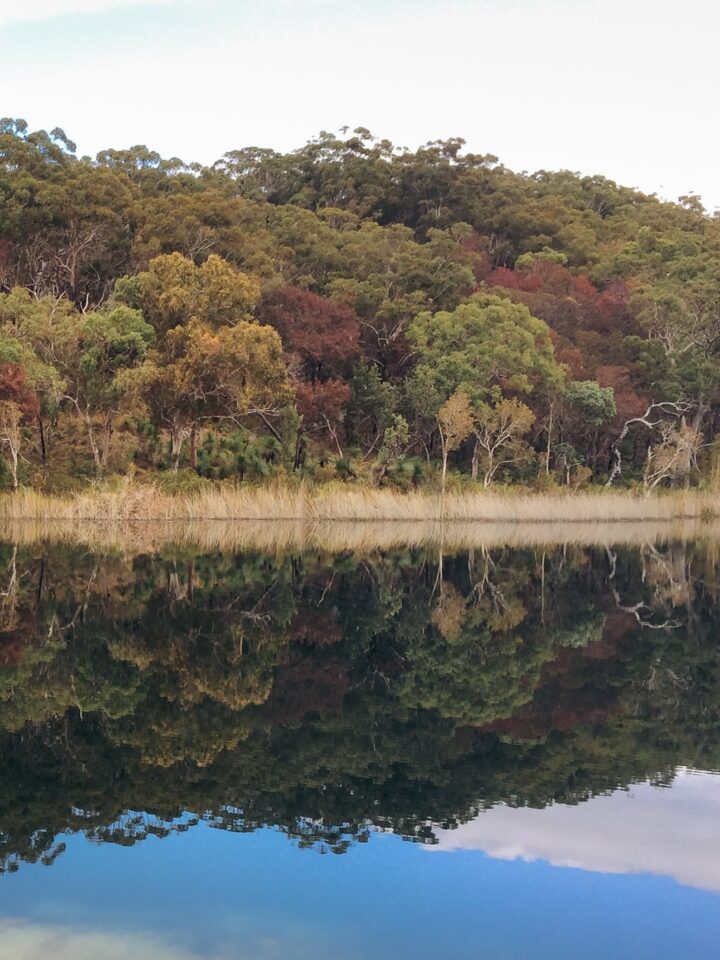 15 Best Things to Do on North Stradbroke Island (Minjerribah)