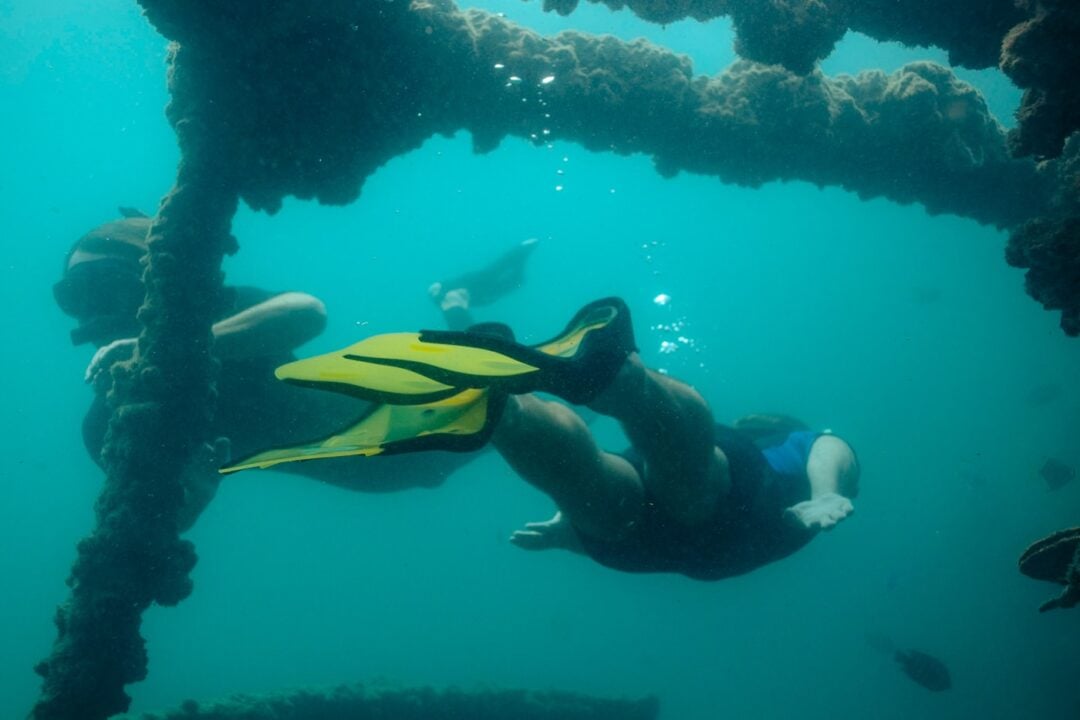 Guide to Visiting Tangalooma Wrecks on Moreton Island