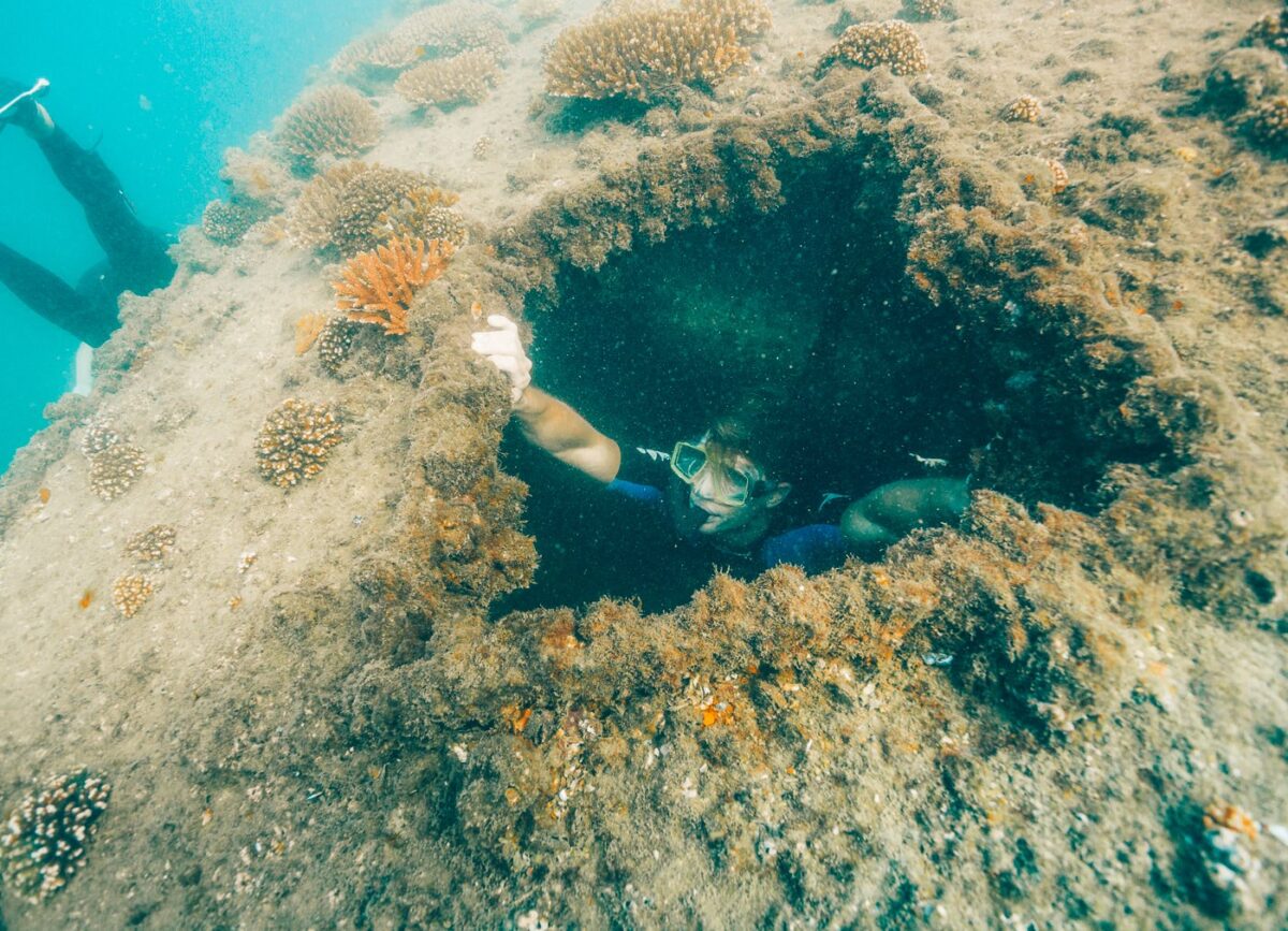 Guide to Visiting Tangalooma Wrecks on Moreton Island