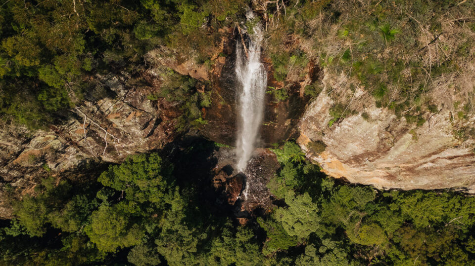 Twin Falls Waterfall Circuit Hike in Springbrook National Park
