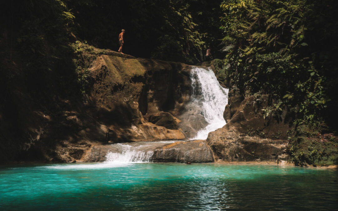 Twin Falls Waterfall Circuit Hike in Springbrook National Park