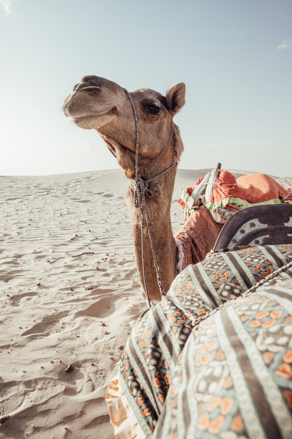 2-Day Camel Safari In Jaisalmer - Everything You Need to Know – We Seek ...
