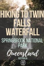 Hiking the Twin Falls Waterfall Circuit in Springbrook National Park