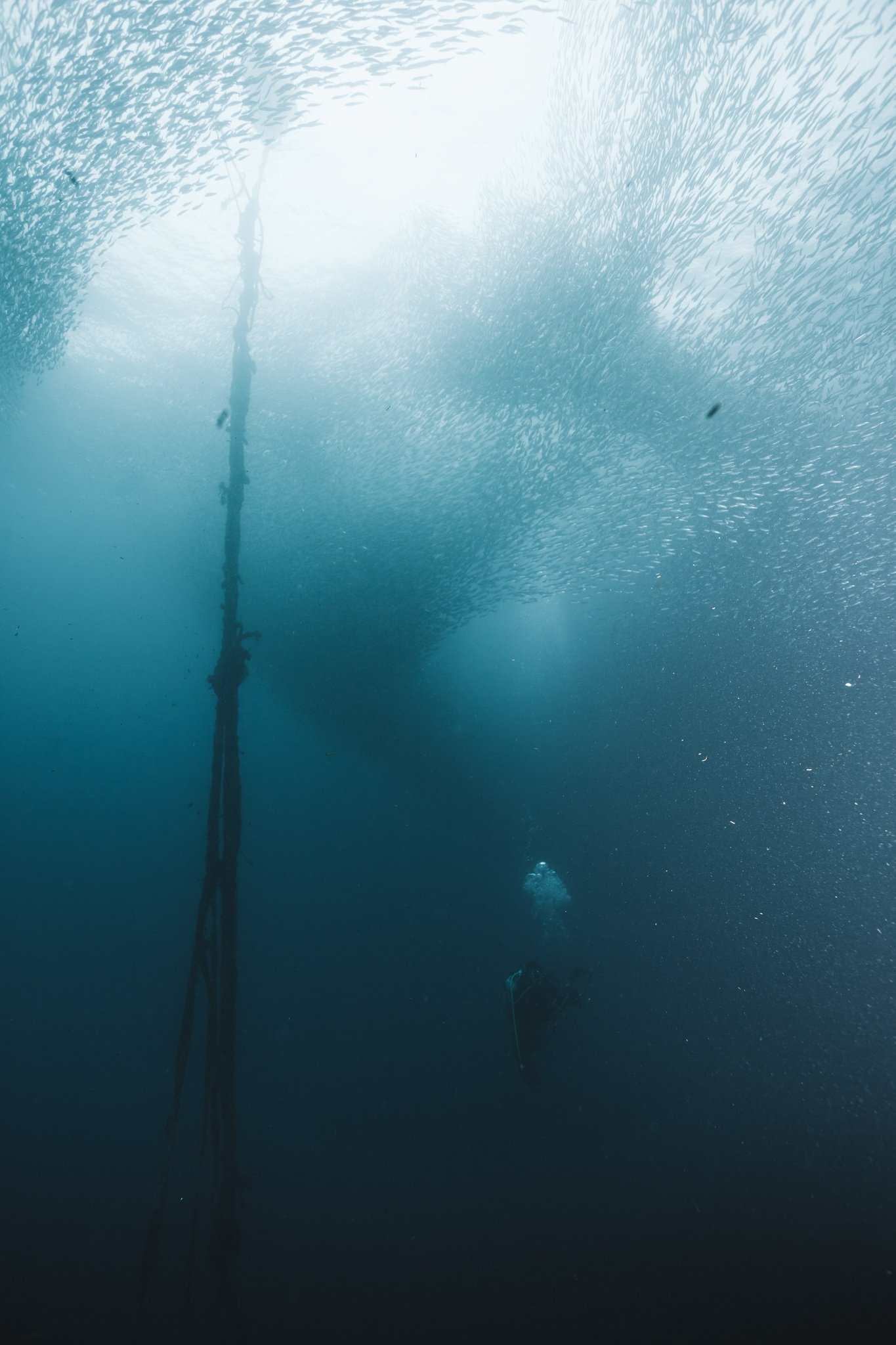 Snorkeling in Moalboal - Where to Swim With Giant Turtles on Cebu – We ...