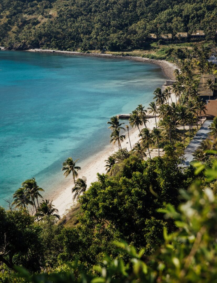 How to Visit South Molle Island in the Whitsundays