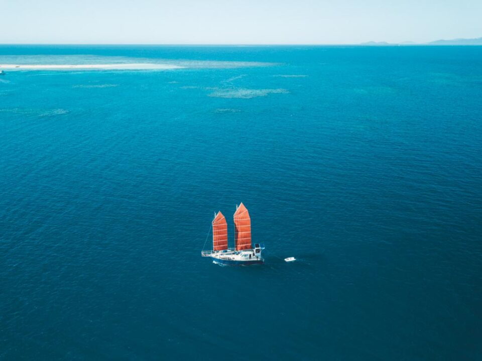 Guide to Michaelmas Cay on the Outer Great Barrier Reef