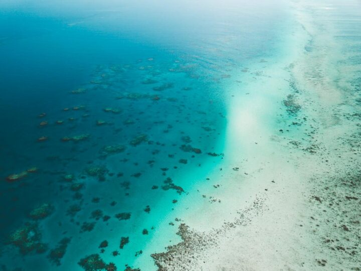 Guide to Michaelmas Cay on the Outer Great Barrier Reef