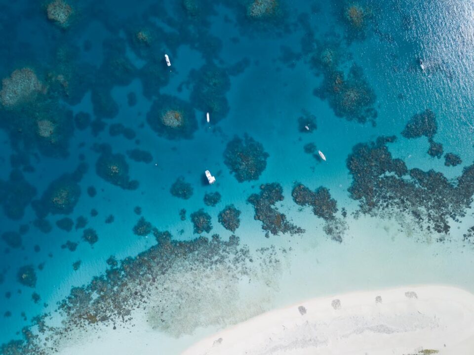 Guide to Michaelmas Cay on the Outer Great Barrier Reef
