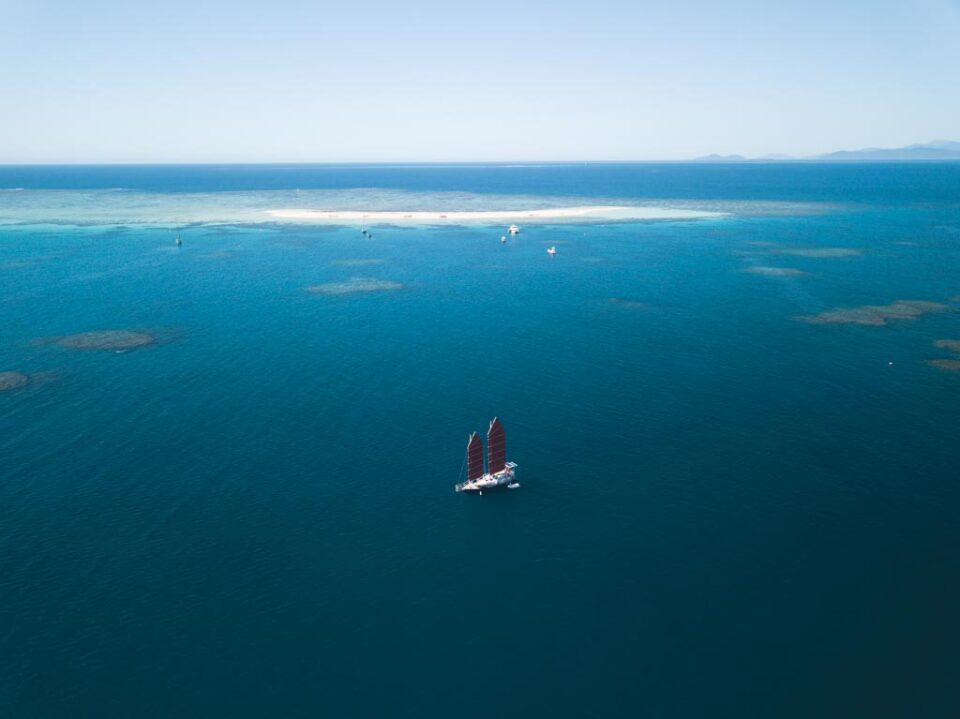 Guide to Michaelmas Cay on the Outer Great Barrier Reef