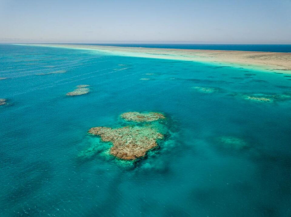 Guide to Michaelmas Cay on the Outer Great Barrier Reef