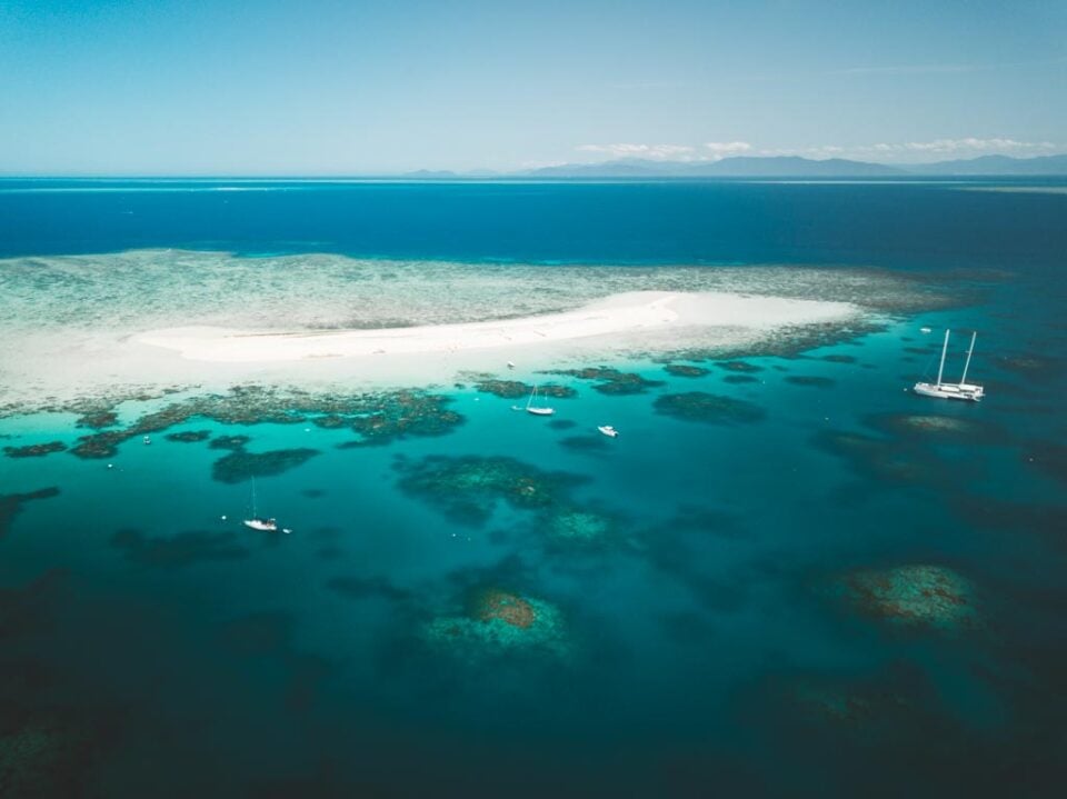 Guide to Michaelmas Cay on the Outer Great Barrier Reef