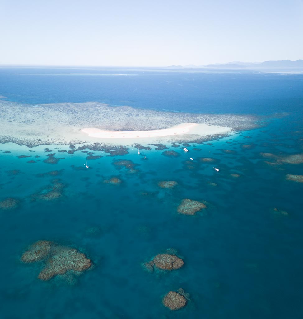 Michaelmas Cay - Exploring the Best of the Outer Great Barrier Reef ...