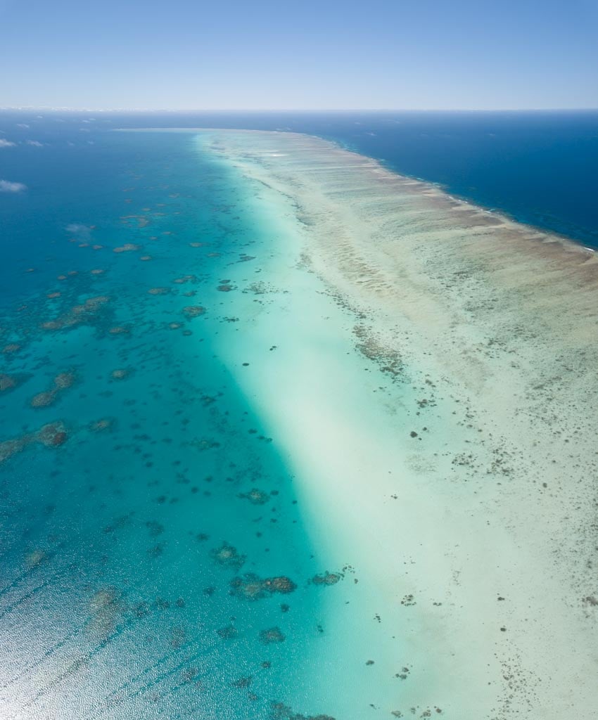 Michaelmas Cay - Exploring the Best of the Outer Great Barrier Reef ...