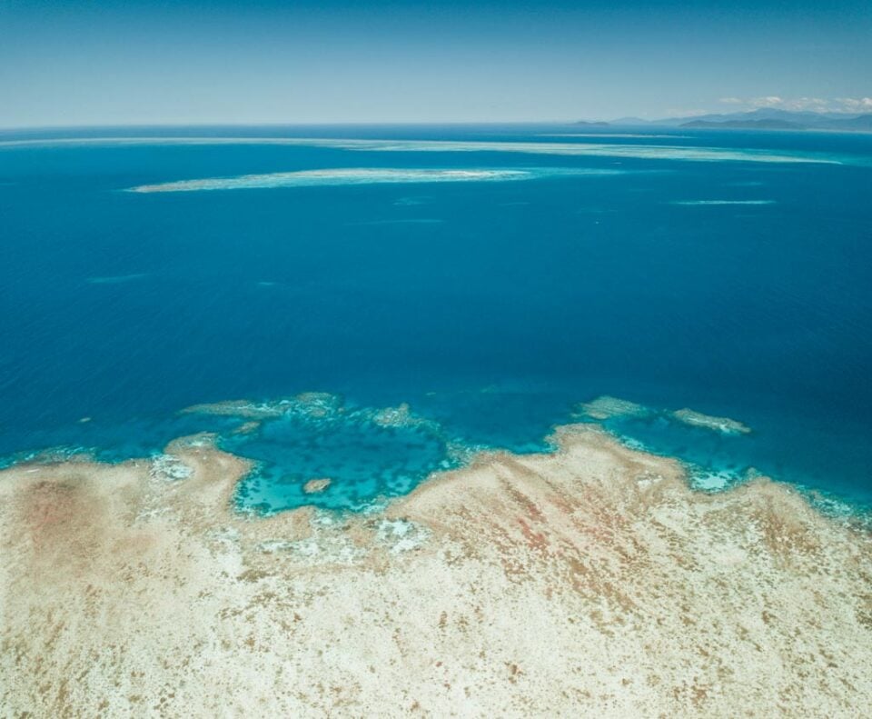 Guide to Michaelmas Cay on the Outer Great Barrier Reef