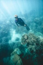 Guide to Michaelmas Cay on the Outer Great Barrier Reef