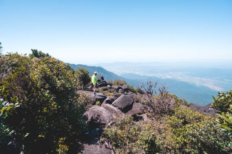 Climbing Mount Bartle Frere: Queensland's Tallest Mountain