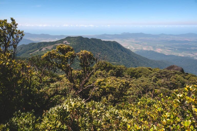 Climbing Mount Bartle Frere: Queensland's Tallest Mountain