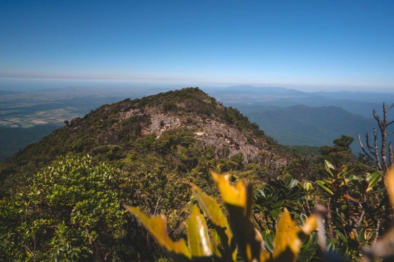 Climbing Mount Bartle Frere: Queensland's Tallest Mountain