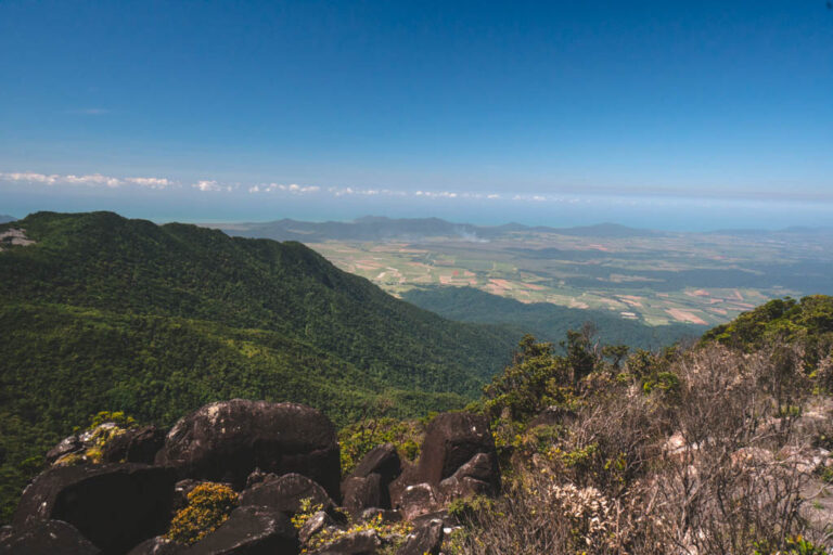 Climbing Mount Bartle Frere: Queensland's Tallest Mountain