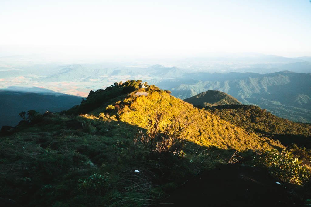 Mount Bartle Frere Hike: Queensland's Tallest Mountain Hiking Guide ...