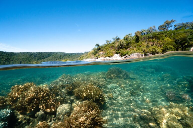 First-Timer's Guide to Visiting Orpheus Island in Queensland