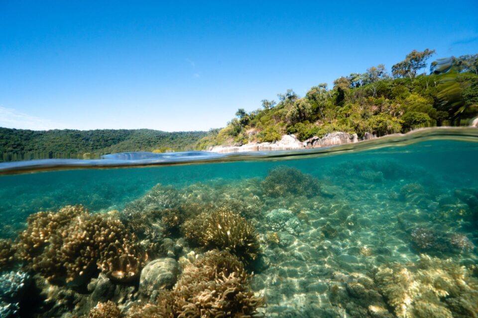 First-Timer's Guide to Visiting Orpheus Island in Queensland