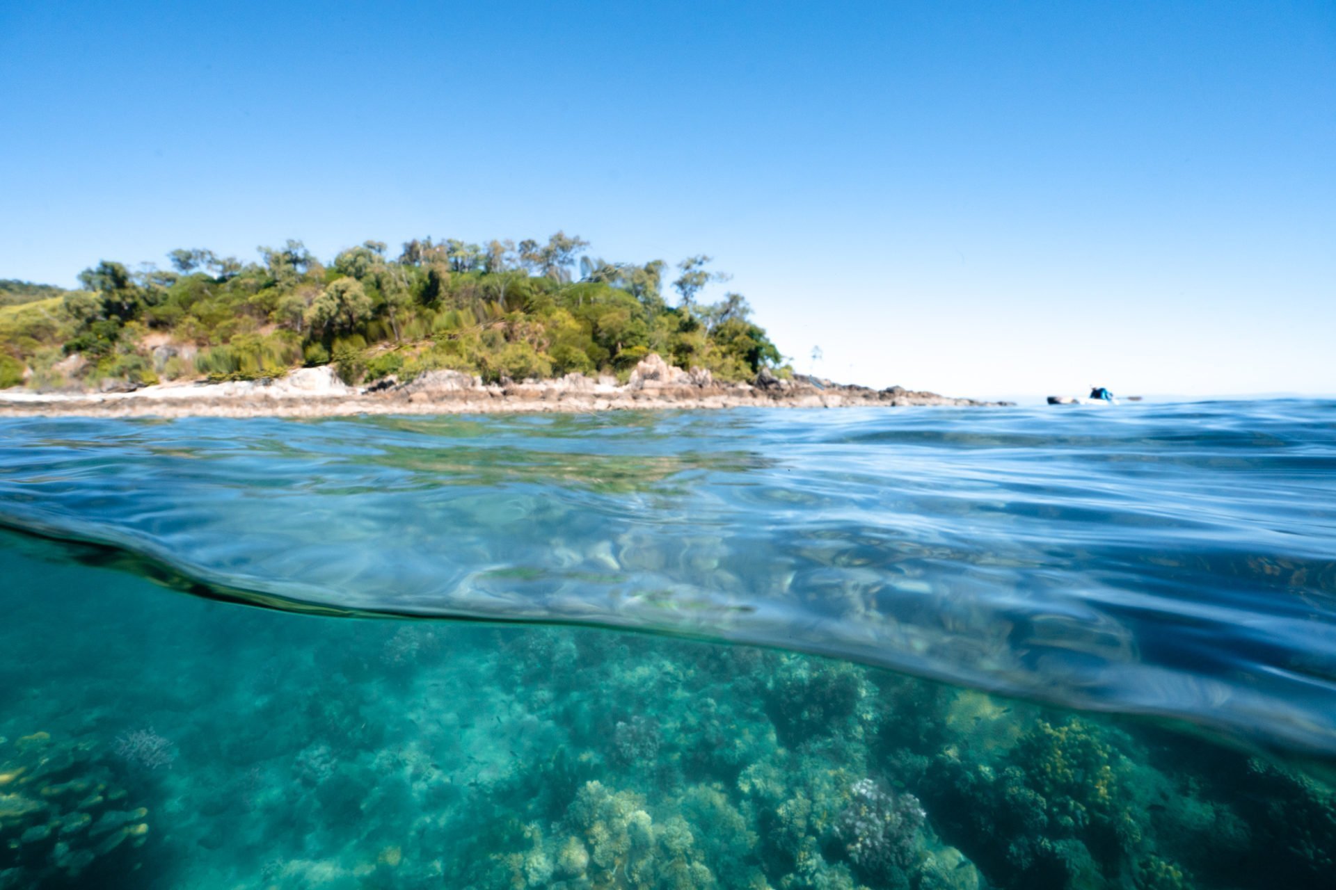 Exploring Orpheus Island - Snorkeling and Hiking – We Seek Travel Blog