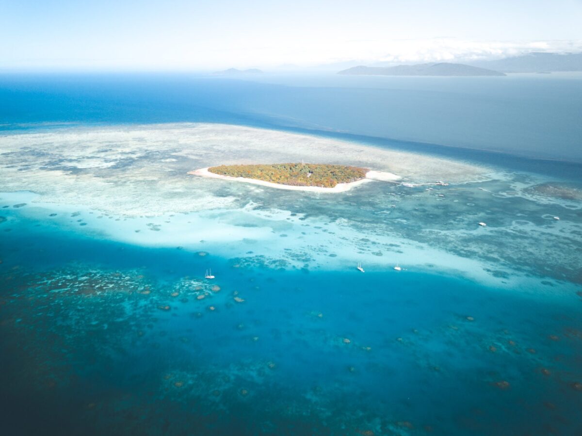 Guide to Michaelmas Cay on the Outer Great Barrier Reef
