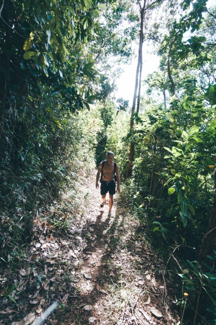 Exploring Dunk Island: Best Things To See & Do