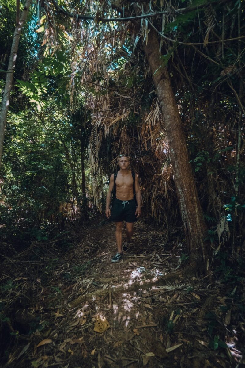 Exploring Dunk Island: Best Things To See & Do