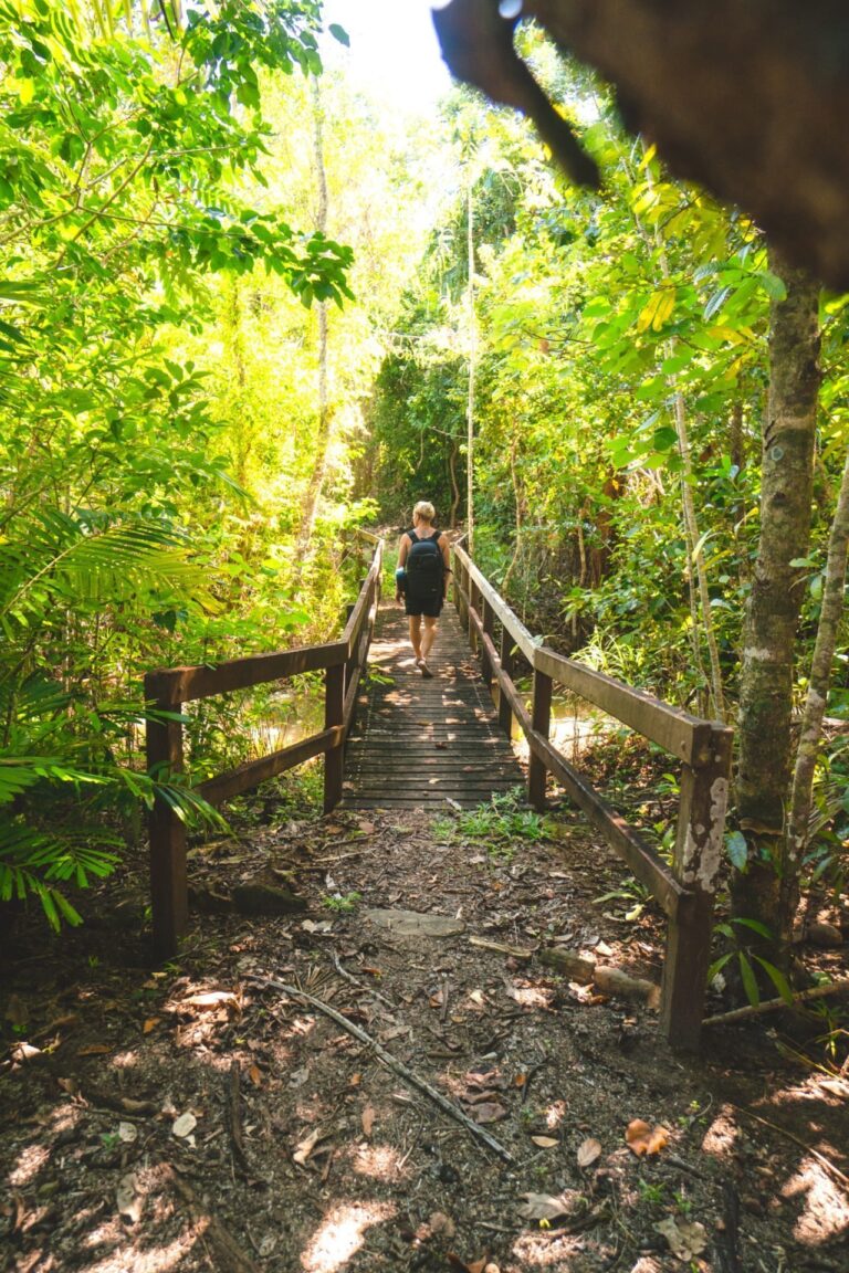 Exploring Dunk Island: Best Things To See & Do