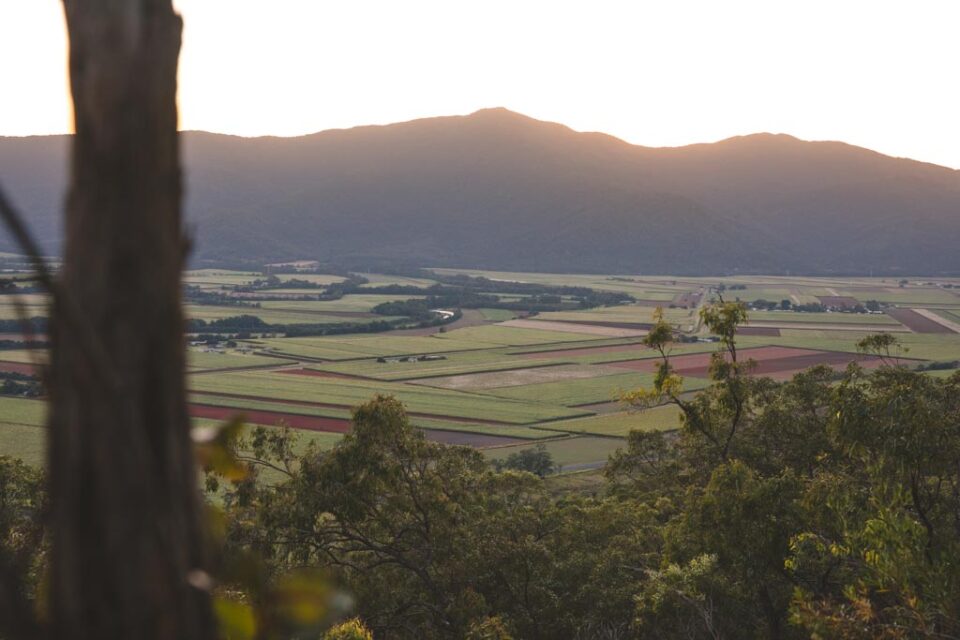 Walsh's Pyramid Hike in Cairns: Complete Guide