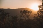 Walsh's Pyramid Hike in Cairns: Complete Guide
