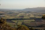 Walsh's Pyramid Hike in Cairns: Complete Guide