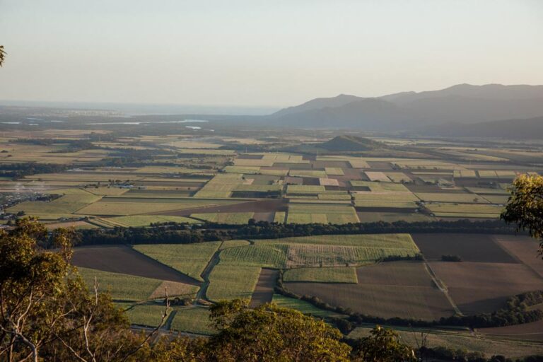 Walsh's Pyramid Hike in Cairns: Complete Guide