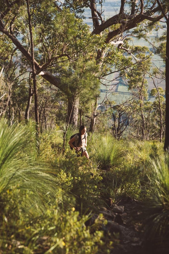 Walsh's Pyramid Hike in Cairns - Complete Hiking Guide 2023 – We Seek ...
