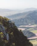 Walsh's Pyramid Hike in Cairns: Complete Guide