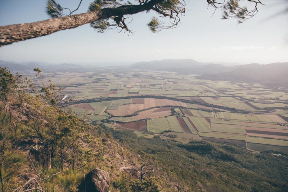 Walsh's Pyramid Hike in Cairns: Complete Guide
