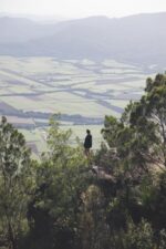 Walsh's Pyramid Hike in Cairns: Complete Guide