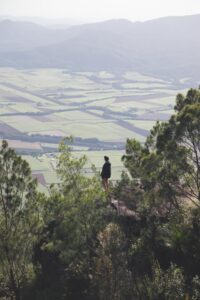 Walsh's Pyramid Hike in Cairns: Complete Guide
