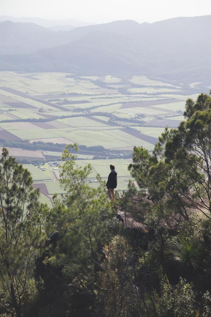 Walsh's Pyramid Hike in Cairns - Complete Hiking Guide 2023 – We Seek ...