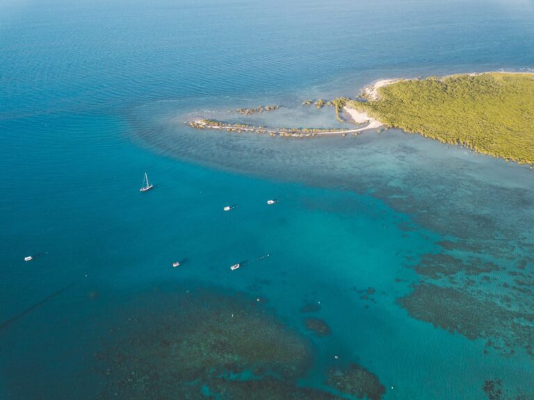 Complete Guide to The Low Isles, Port Douglas, Australia – We Seek Travel