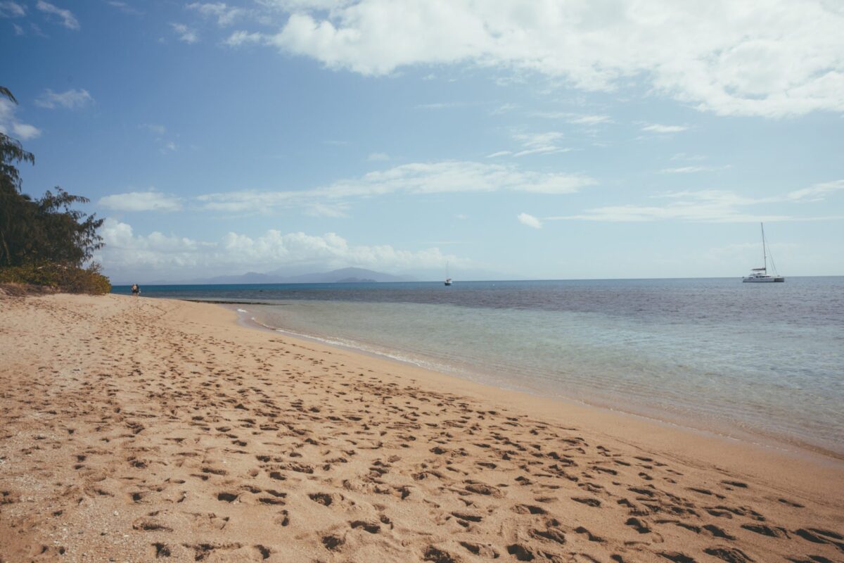How to Visit The Low Isles From Port Douglas & Cairns