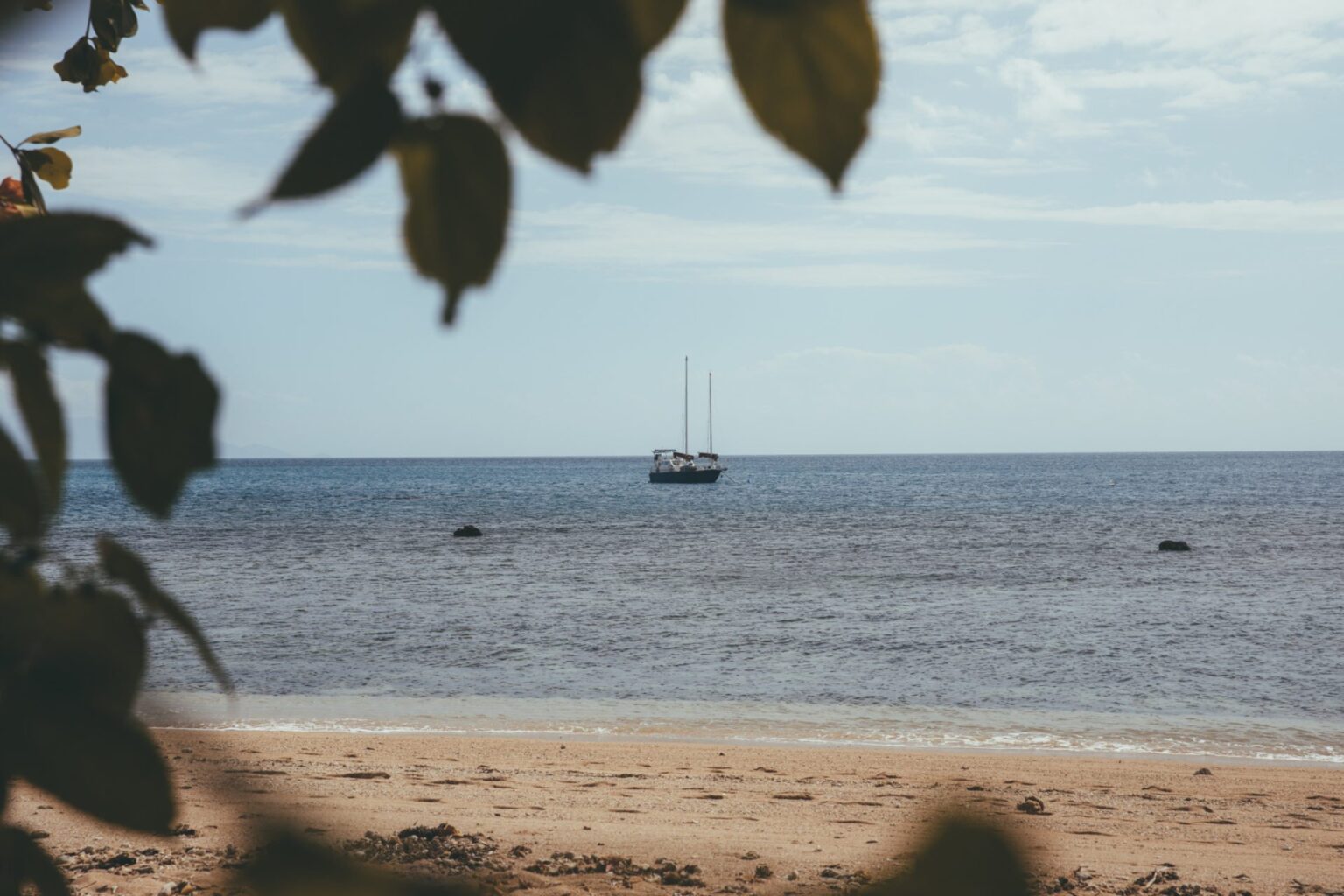 Complete Guide to The Low Isles, Port Douglas, Australia – We Seek Travel