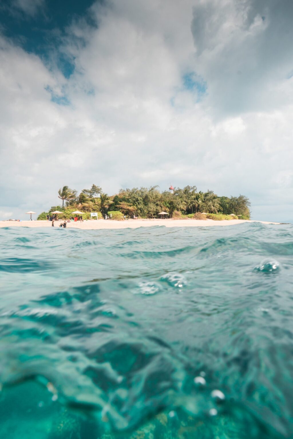 How to Visit The Low Isles From Port Douglas & Cairns