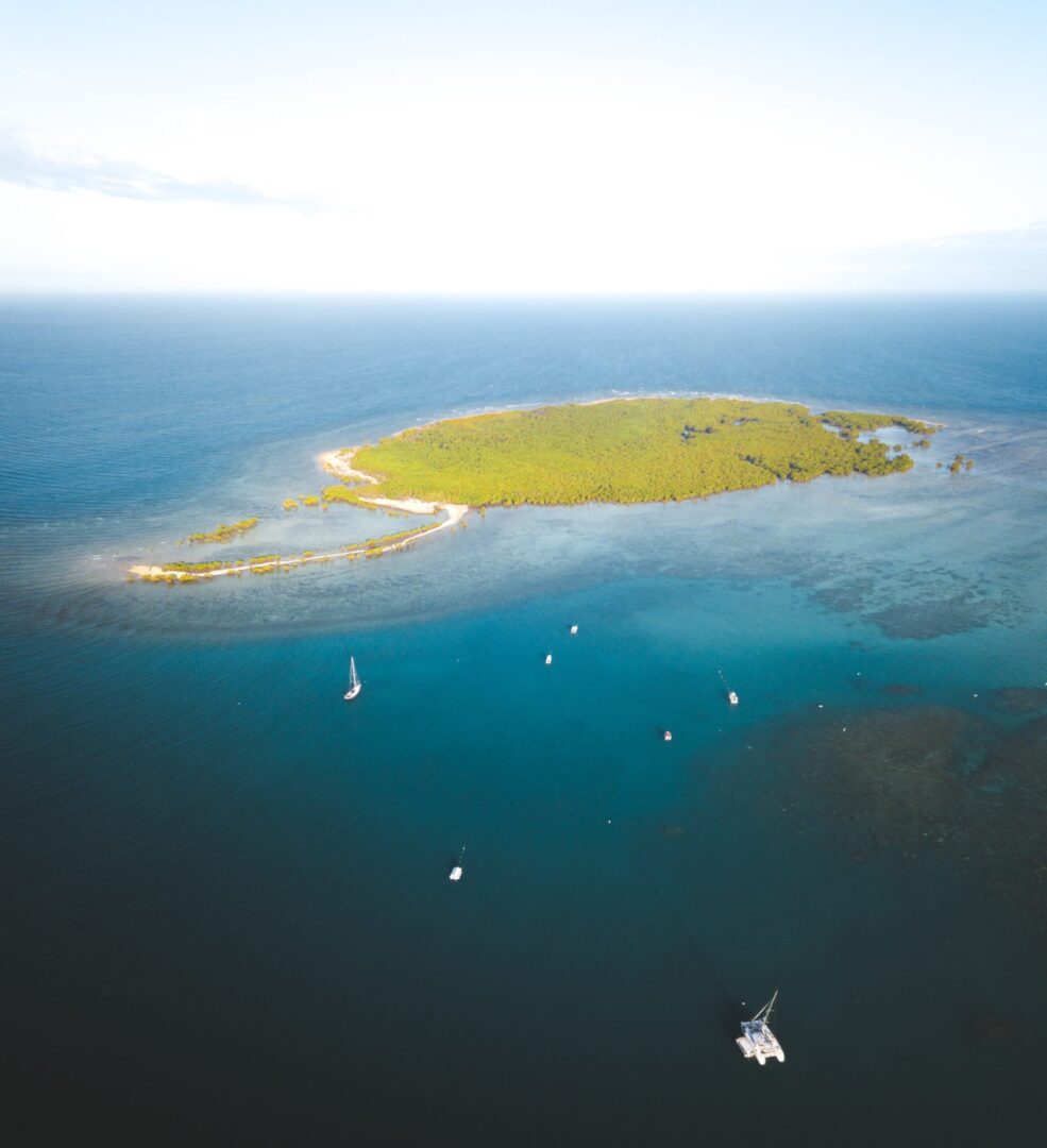 Complete Guide to The Low Isles, Port Douglas, Australia – We Seek Travel