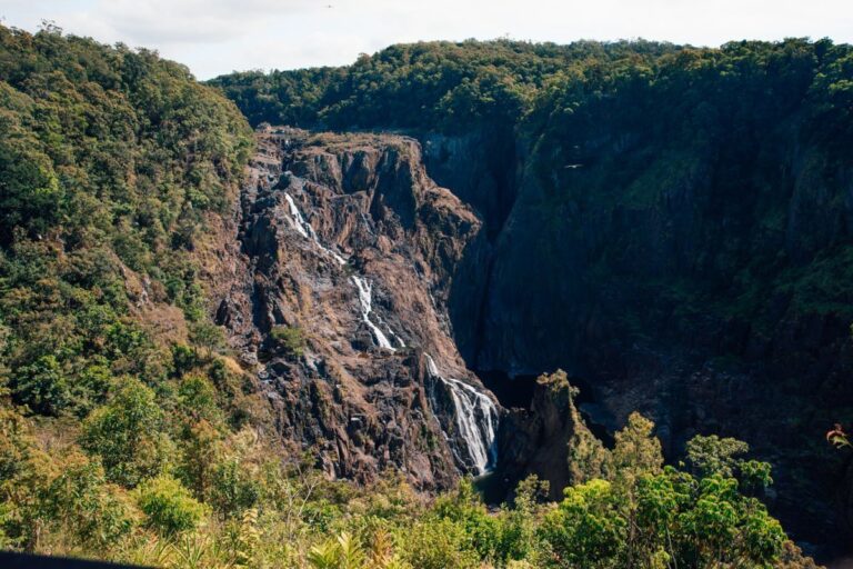 How to Visit Barron Falls From Cairns: Complete Guide
