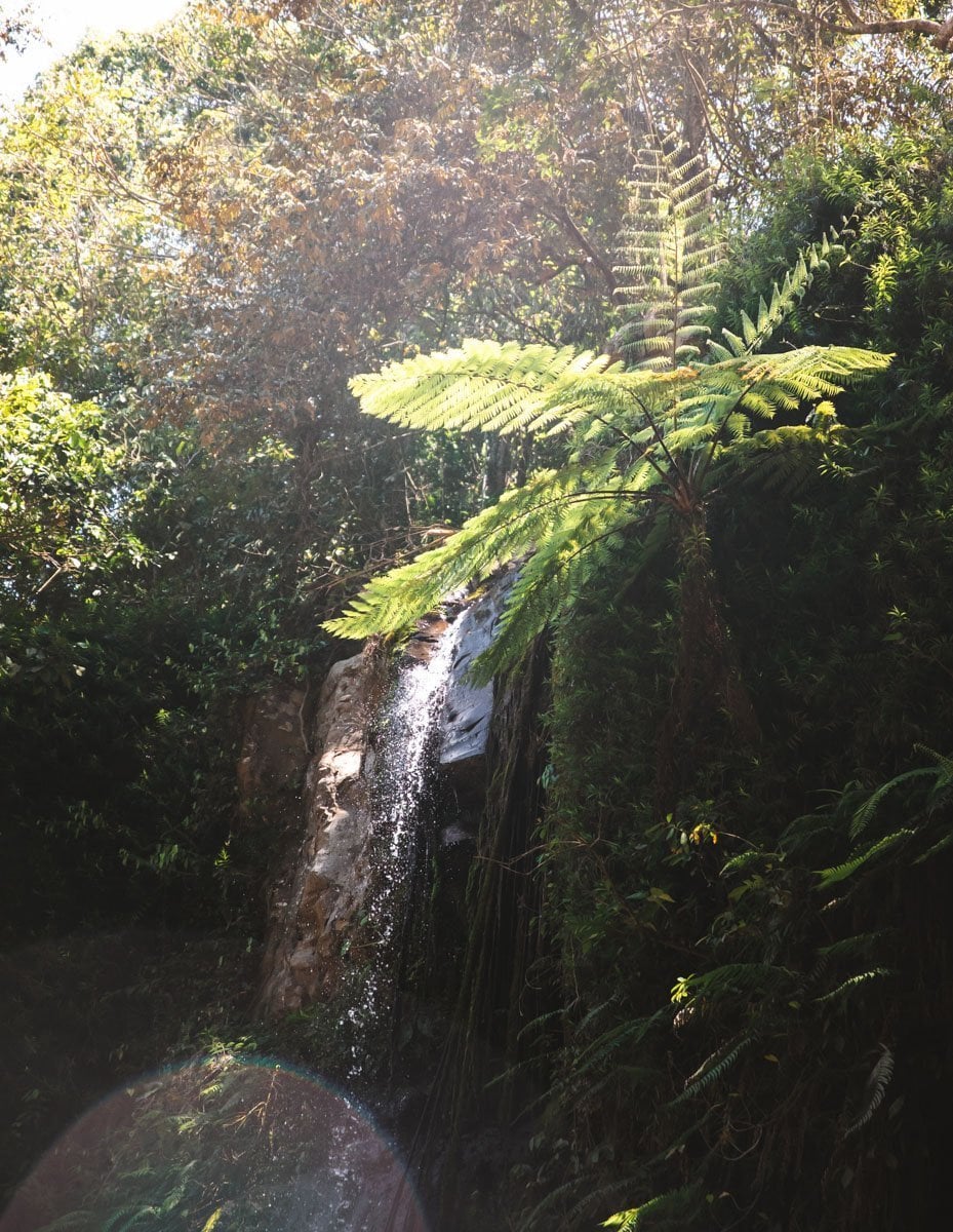 How to Visit Benang Stokel & Benang Kelambu Waterfalls in Lombok – We ...