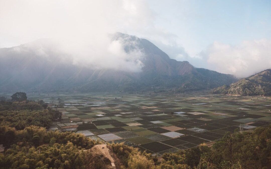 Bukit Selong Rice Field Viewpoint in Sembalun, Lombok